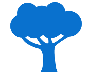 The College School - St. Louis Independent School, PreK-8